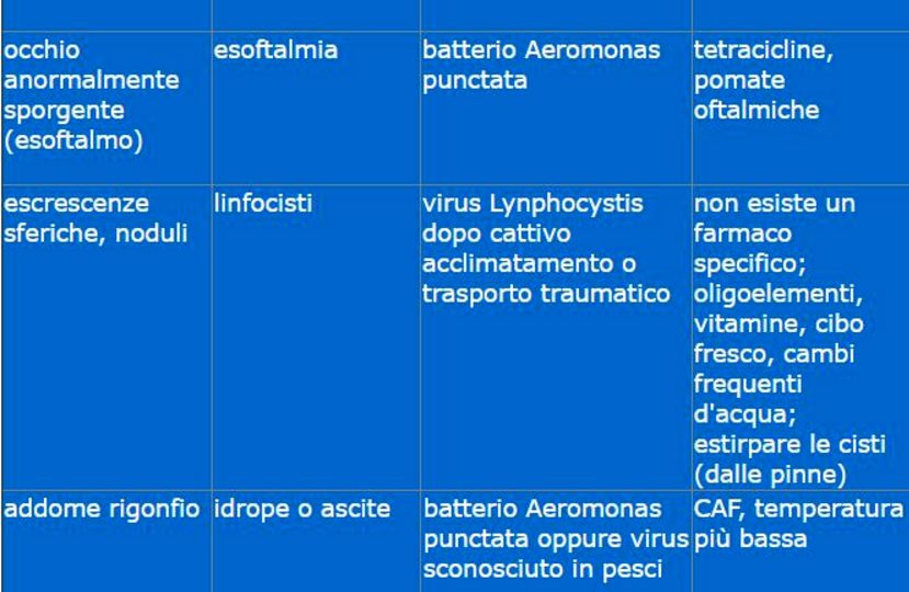Tabella CO2 Kh pH - acquaportal